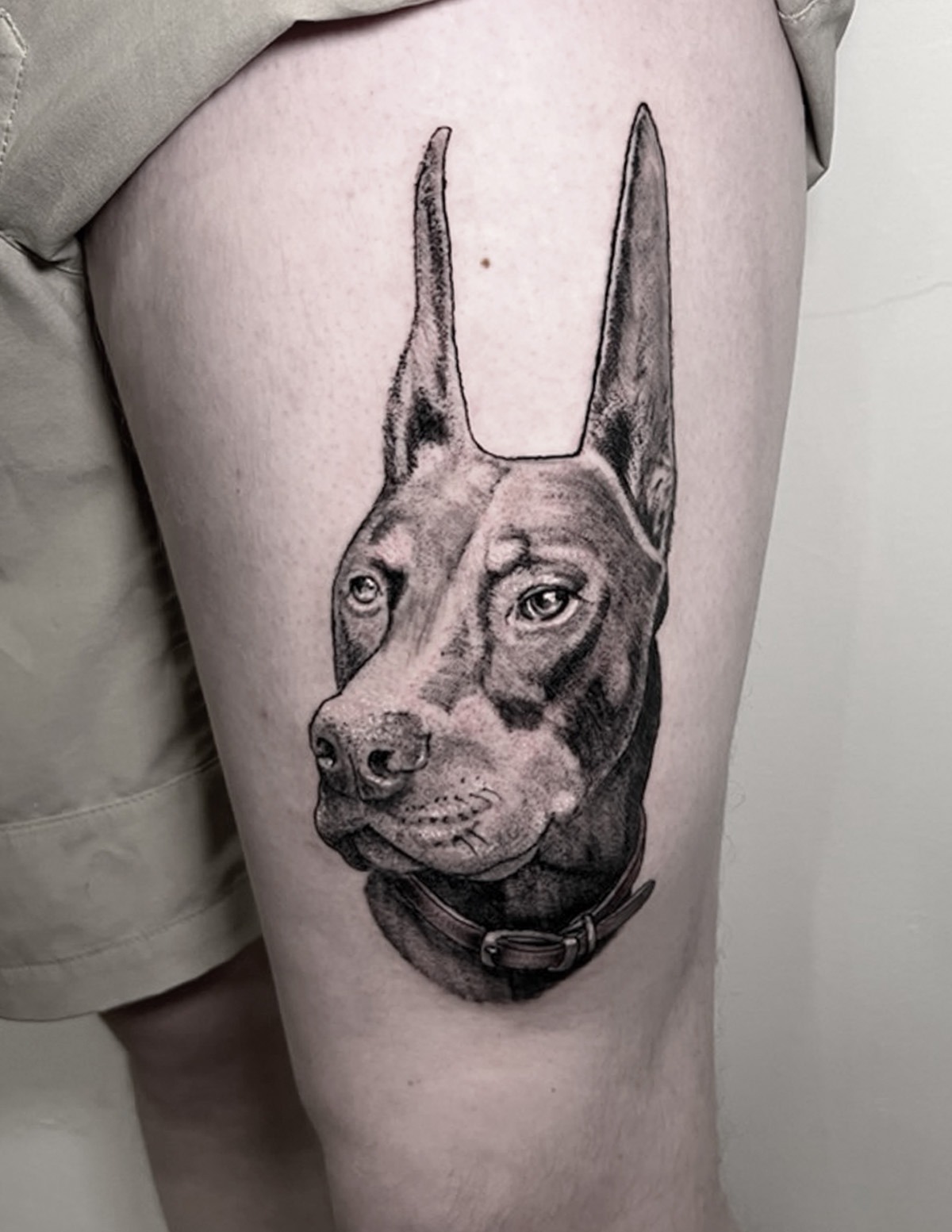 ANIMAL-TATTOOS | Fine Line | Black and Grey | Portland Maine