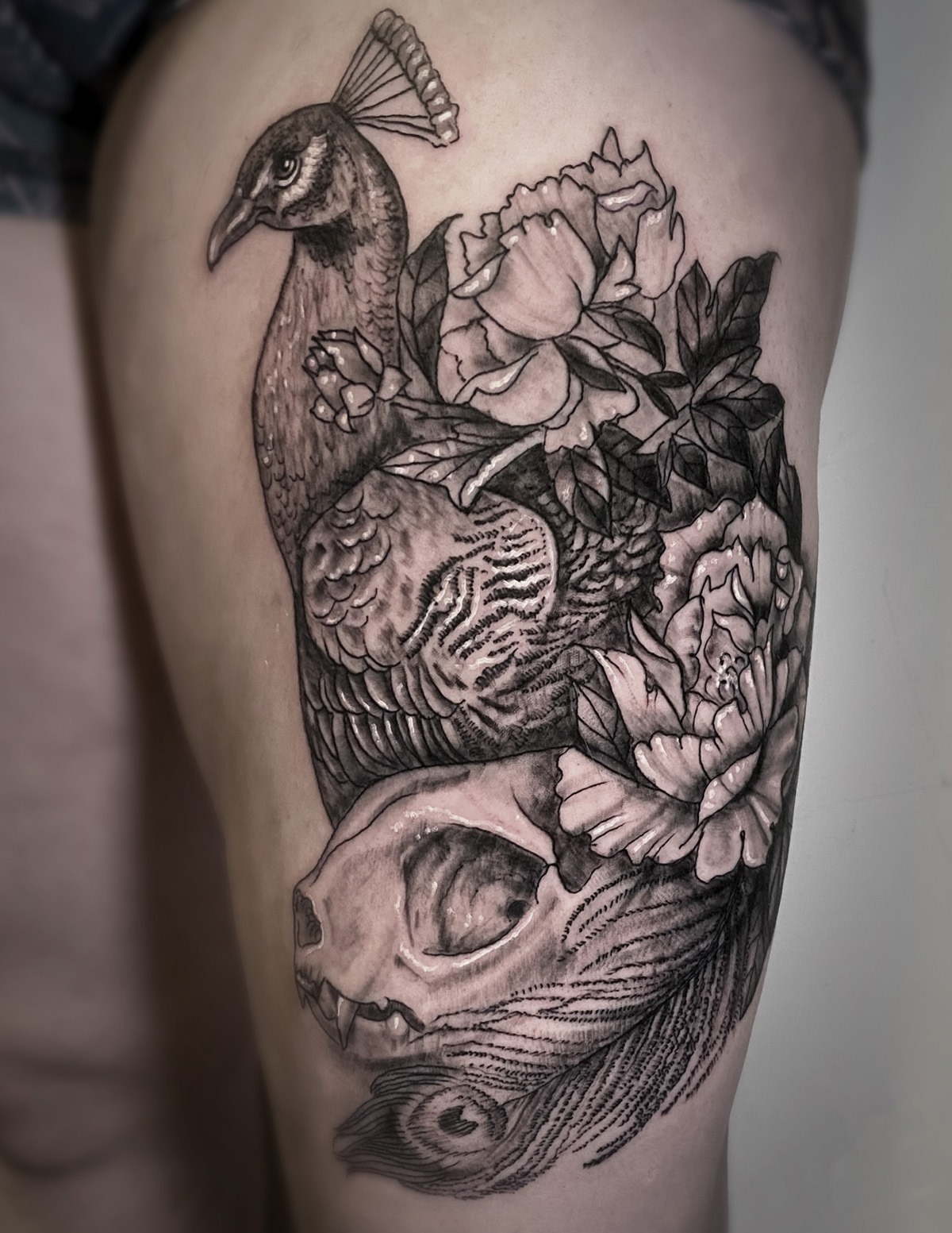 BIRD-TATTOOS | Fine Line | Black and Grey | Portland Maine